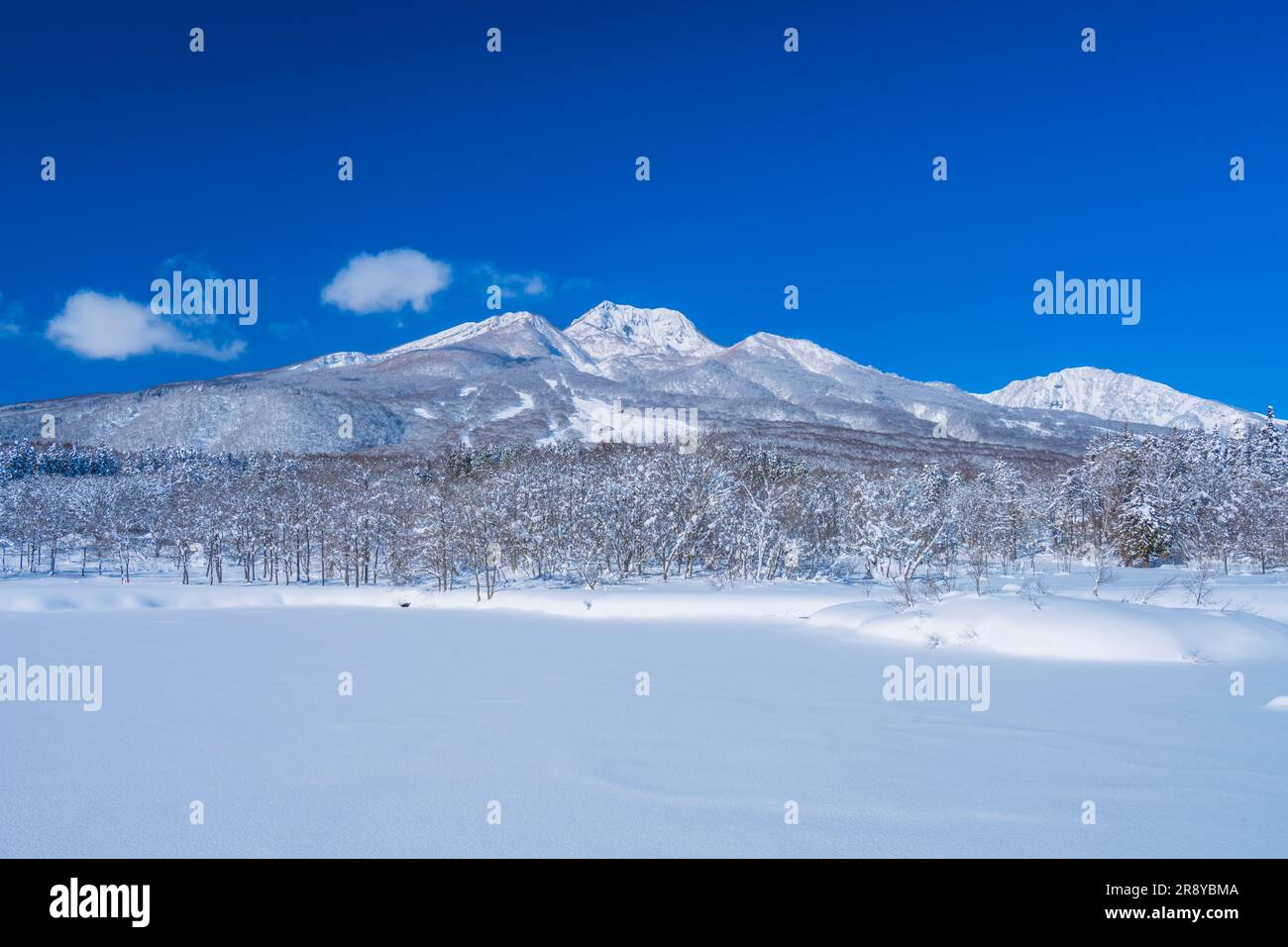 Imori Pond and Mt. Myoko in winter Stock Photo - Alamy