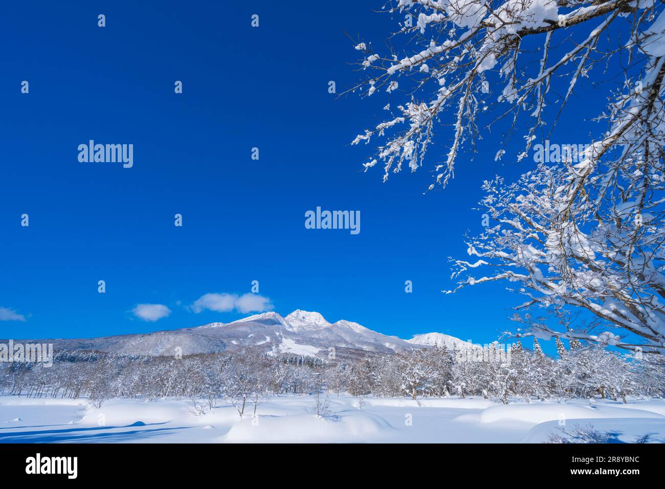 Imori Pond and Mt. Myoko in winter Stock Photo - Alamy