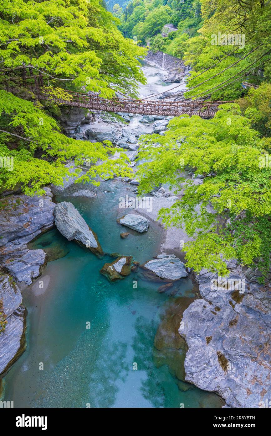 Iya tokushima hi-res stock photography and images - Alamy