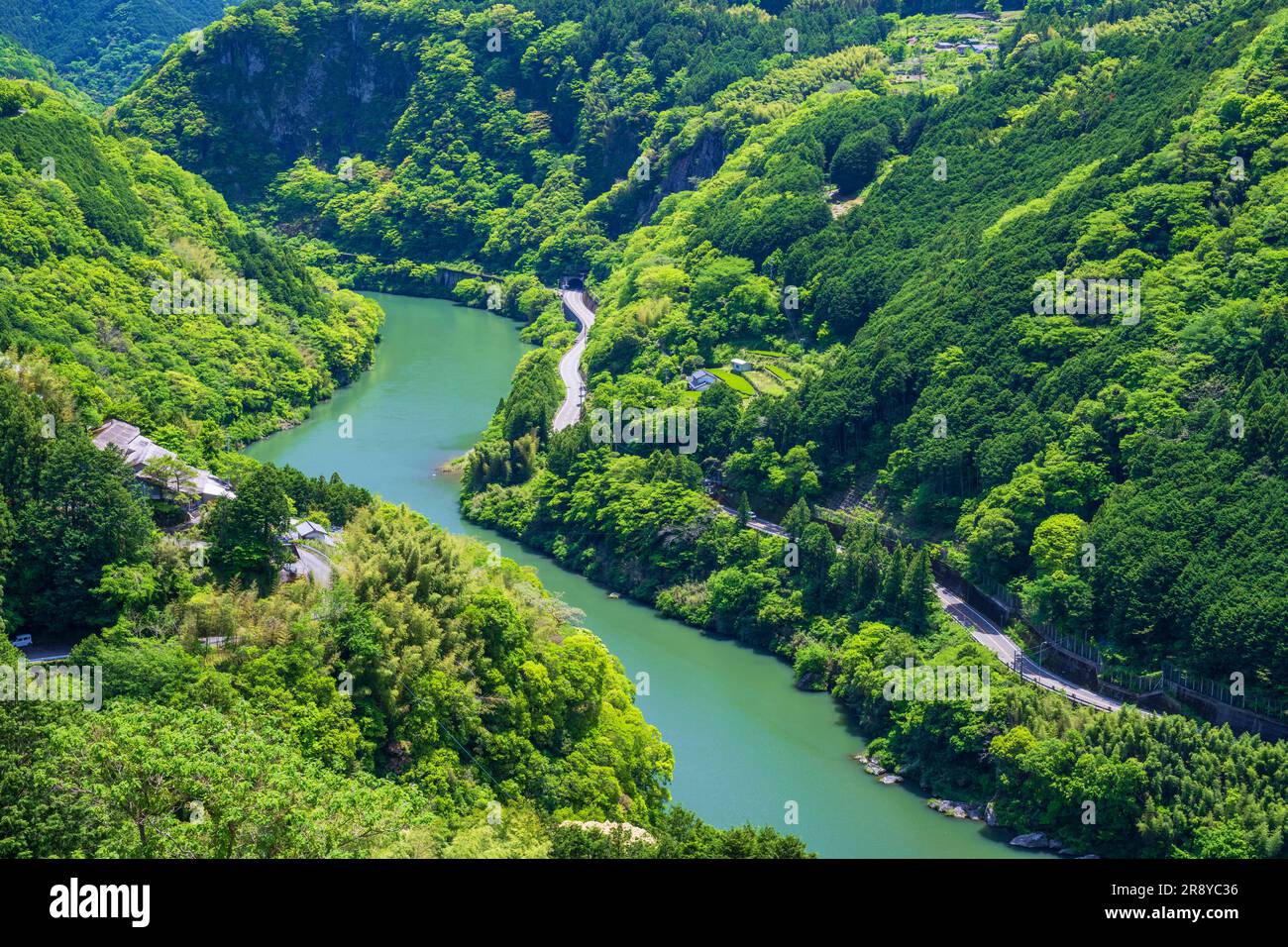 Niyodo kochi hi-res stock photography and images - Alamy