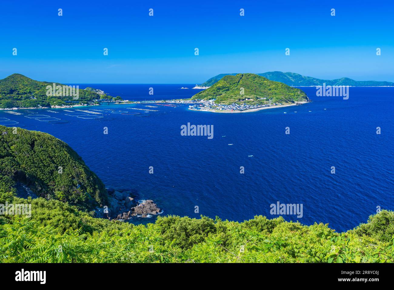 Kashiwa japan park hi-res stock photography and images - Alamy