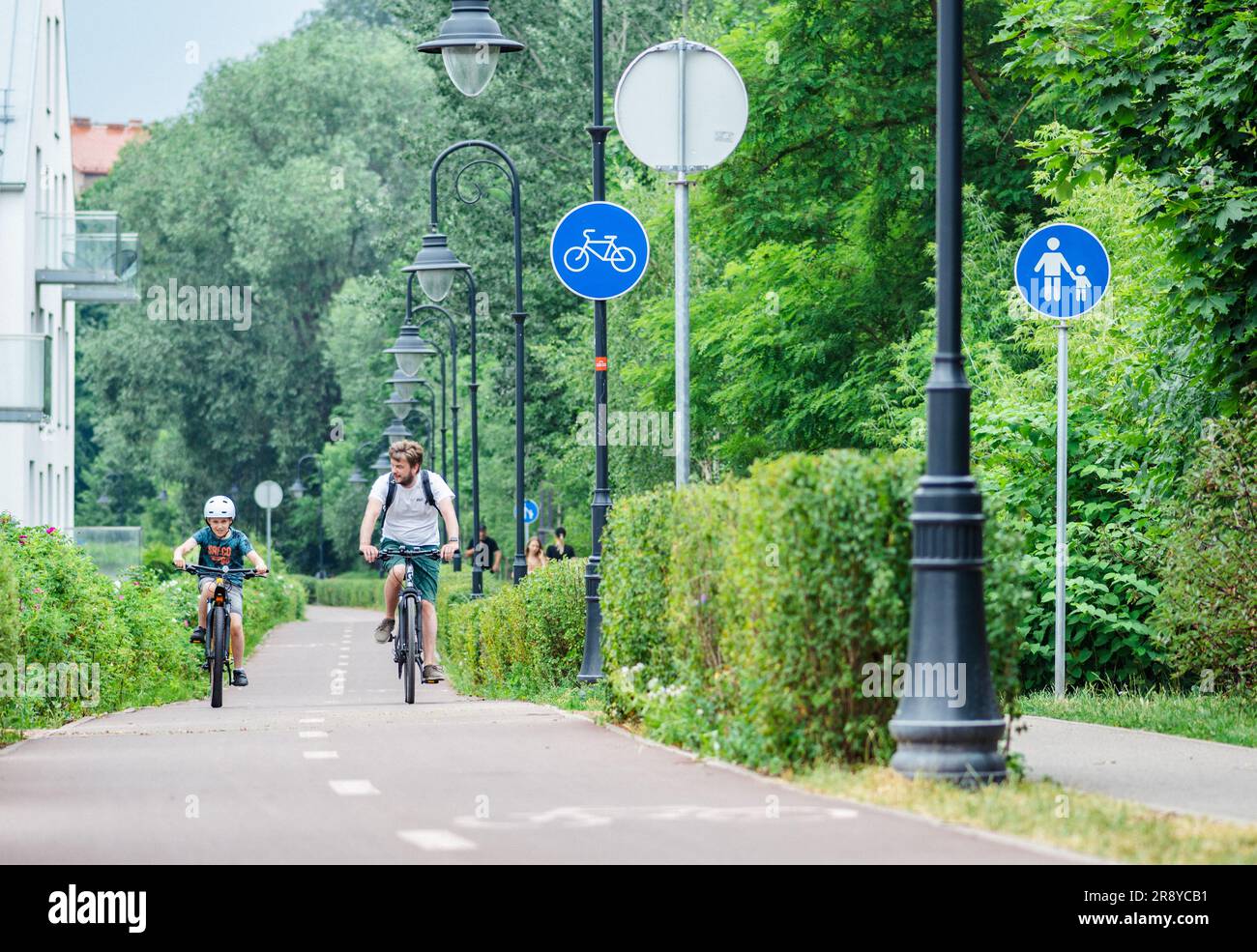 Father and son cycling on the bike road with blue road sign or signal of bicycle lane among ...