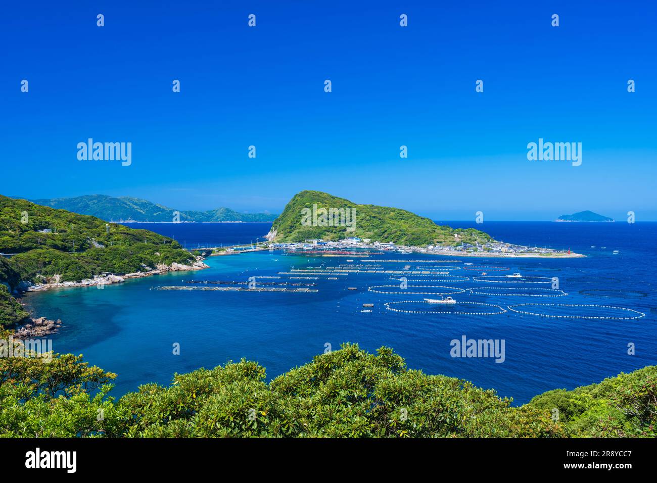 Kashiwa japan park hi-res stock photography and images - Alamy