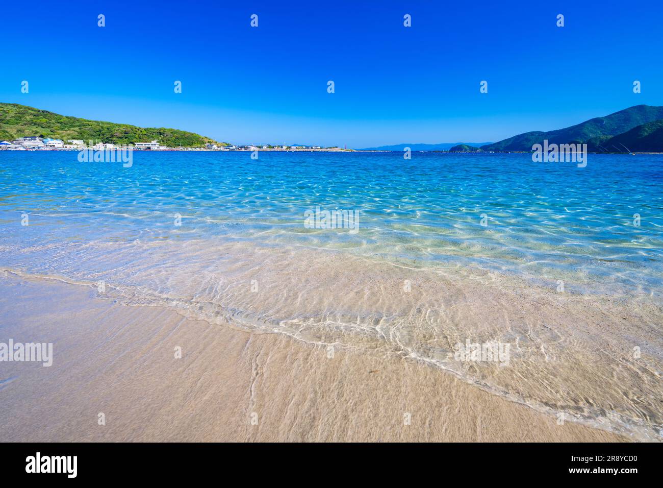 Kashiwa hi-res stock photography and images - Alamy