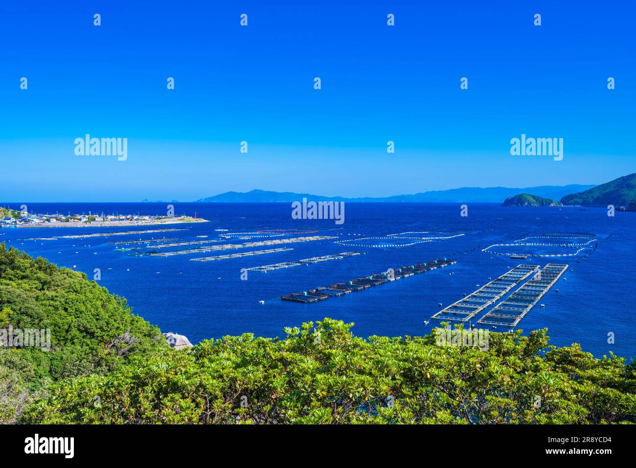 Kashiwa japan park hi-res stock photography and images - Alamy