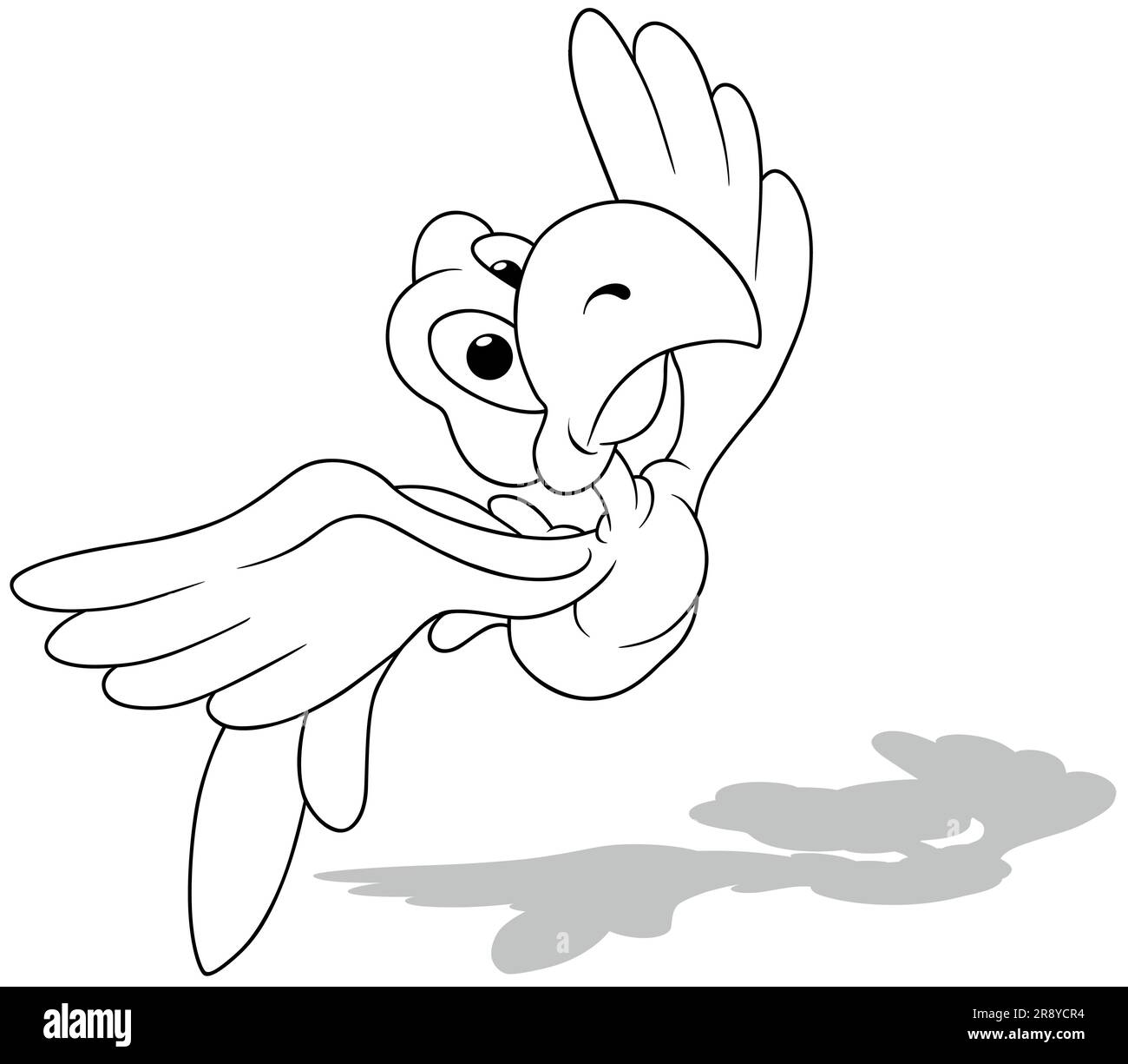 Drawing of a Flying Parrot Stock Vector Image & Art - Alamy