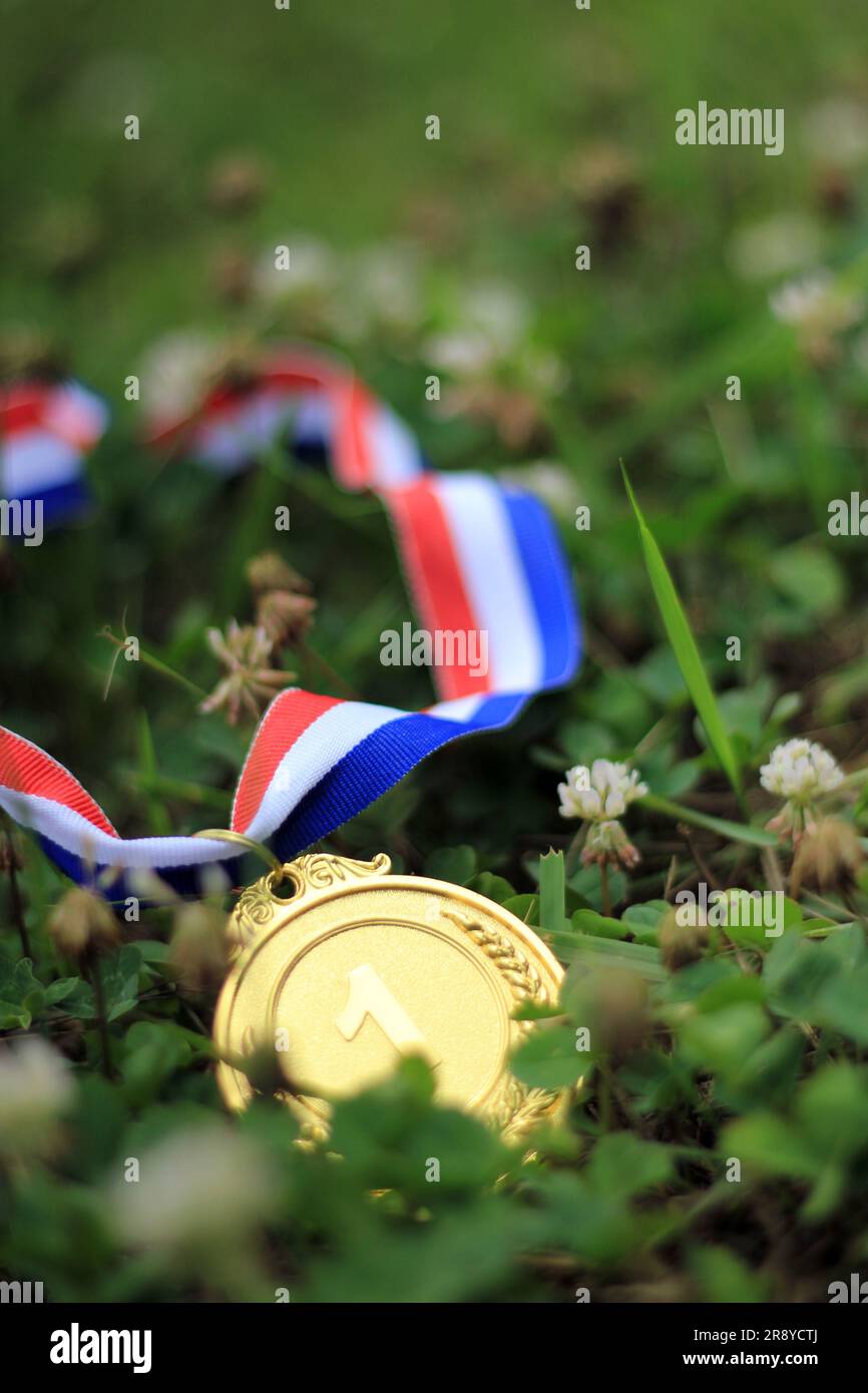 Shiny green award ribbon golden hi-res stock photography and images - Alamy