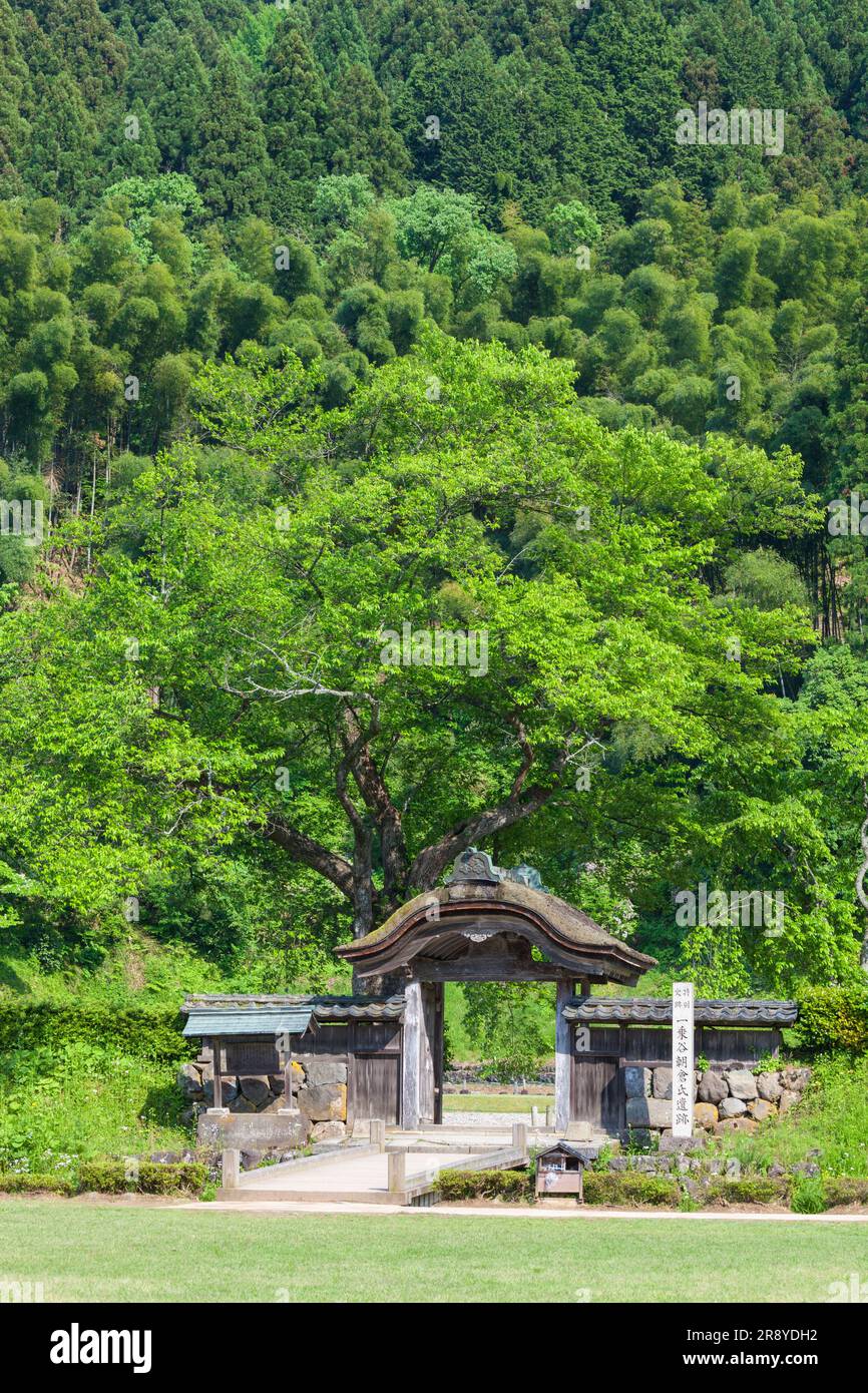 Ichijodani Asakura Clan ruins Stock Photo - Alamy