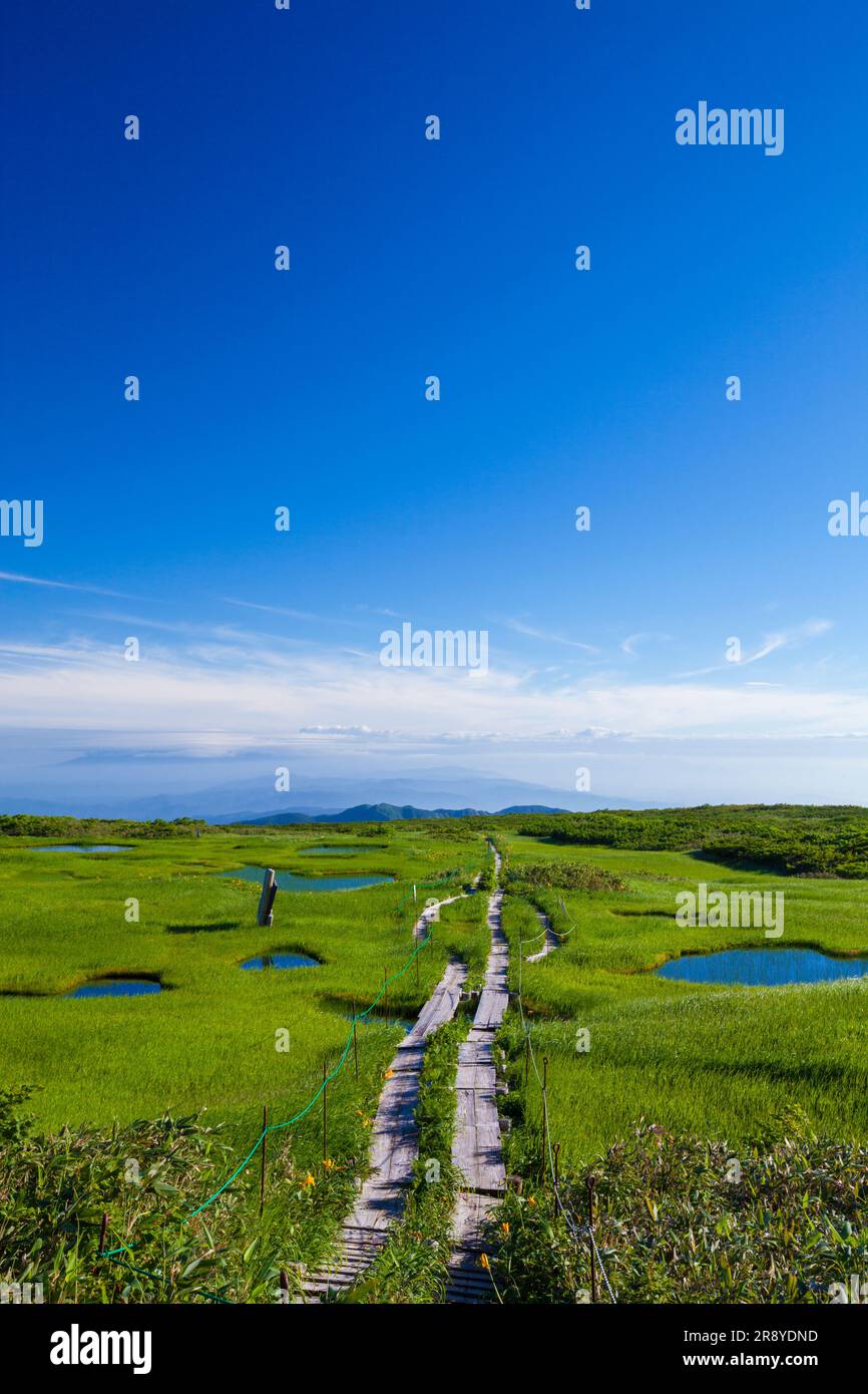 Mt. Gassan Midagahara wetland Stock Photo - Alamy