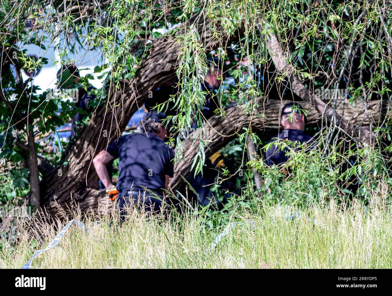 Who was charged with murder of her husband hi-res stock photography and ...