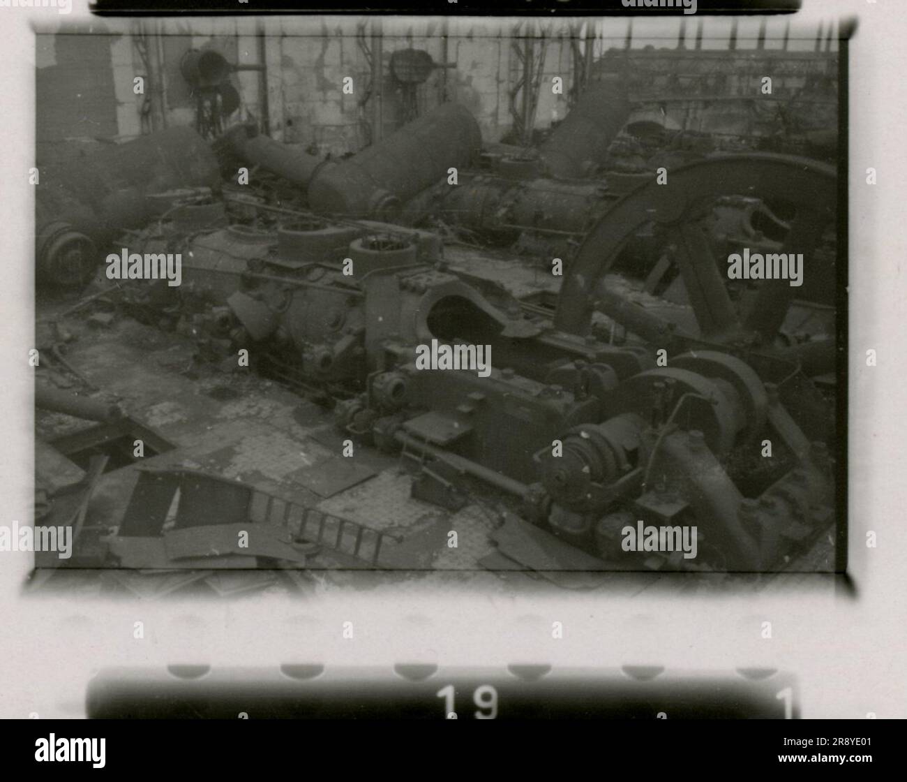 World war ii schwimmwagen hi-res stock photography and images - Alamy