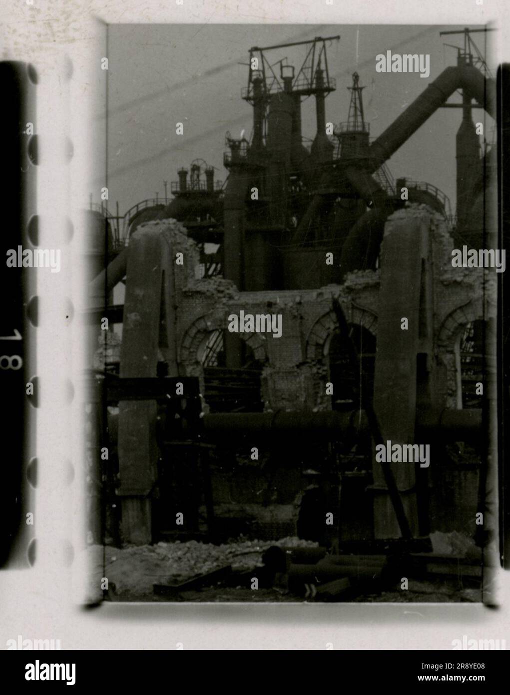 Tiger i russia hi-res stock photography and images - Alamy