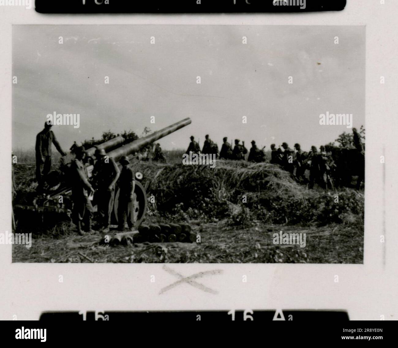World war ii schwimmwagen hi-res stock photography and images - Alamy