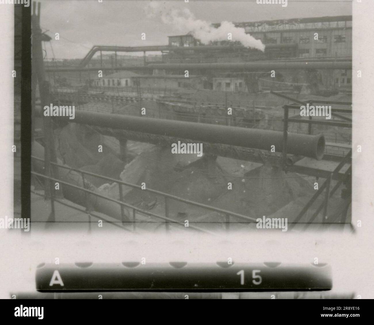 SS photographer Cantzler captured the stark reality of Russia in 1943 ...