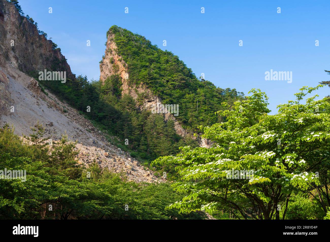 Doyu no Warido at Sado Kinzan Stock Photo - Alamy