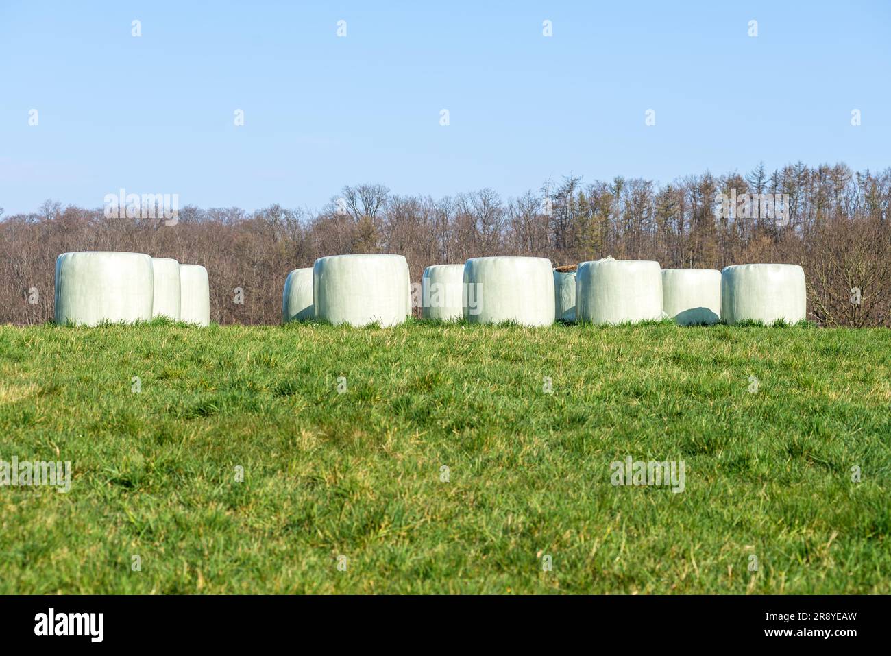 Plastic wrapped hay bales hi-res stock photography and images - Alamy