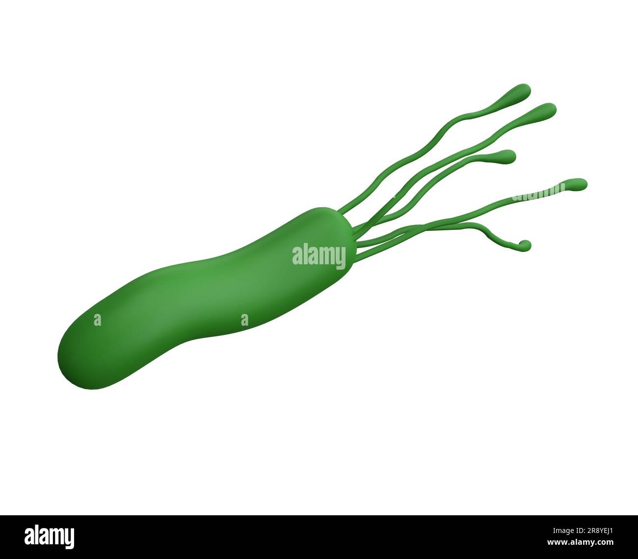Helicobacter pylori bacteria 3d render realistic medicine icon for logo ...