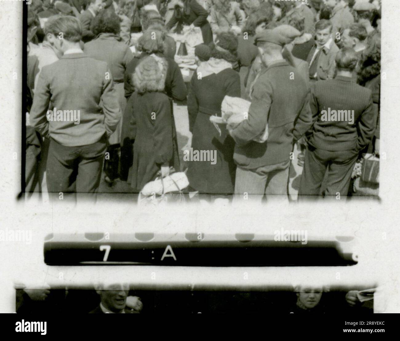 SS Photographer Damher, Holland 1944 Assassinated German military ...