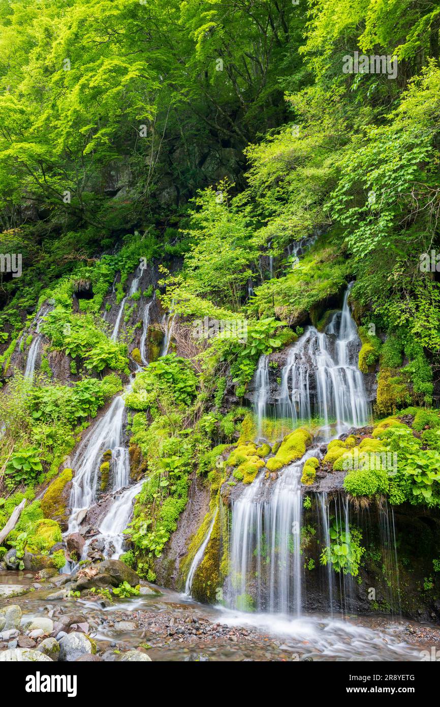 Doryuno waterfall hi-res stock photography and images - Alamy