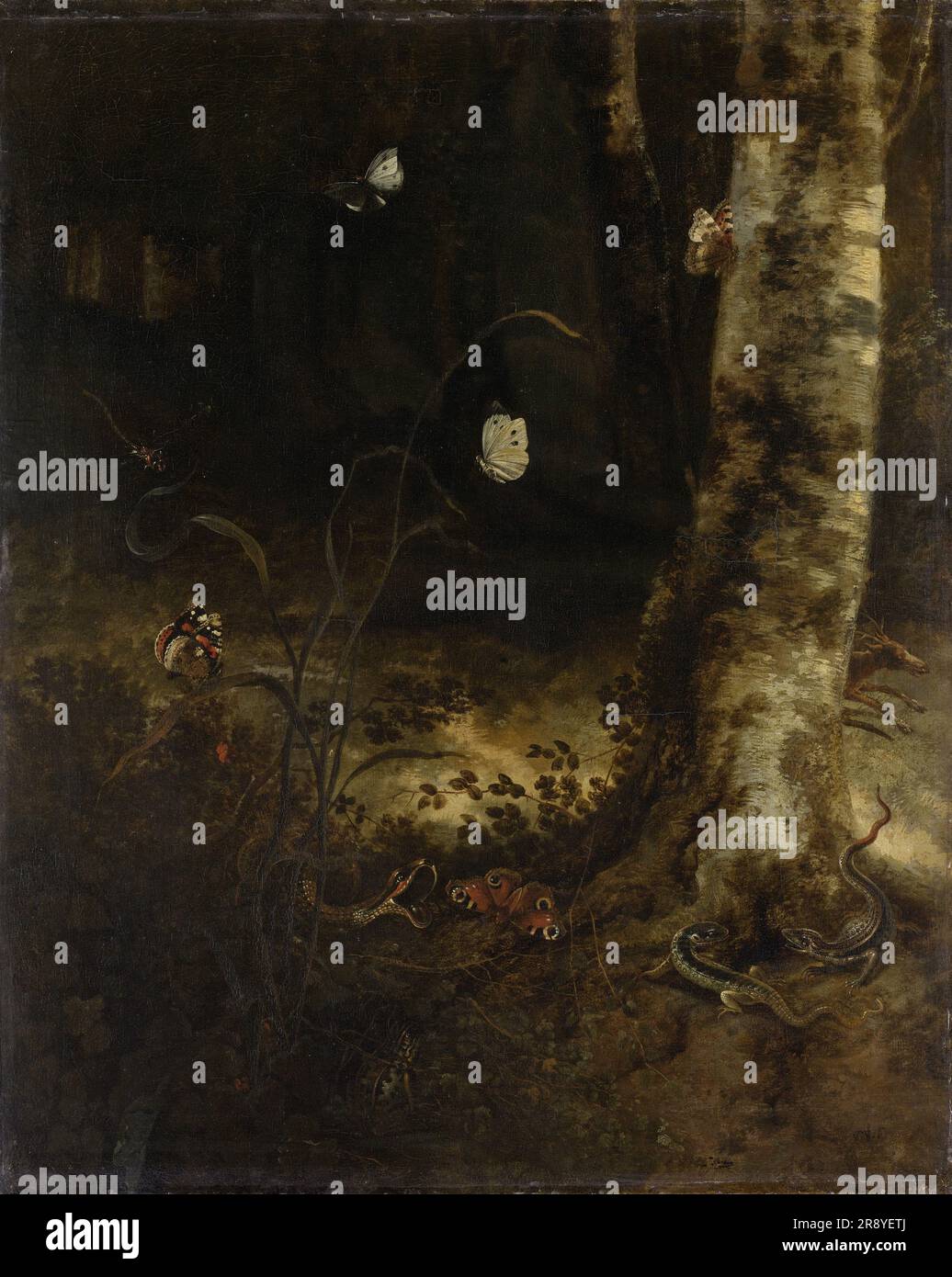 Forest Floor with a Snake, Lizards, Butterflies and other Insects, 1650 ...