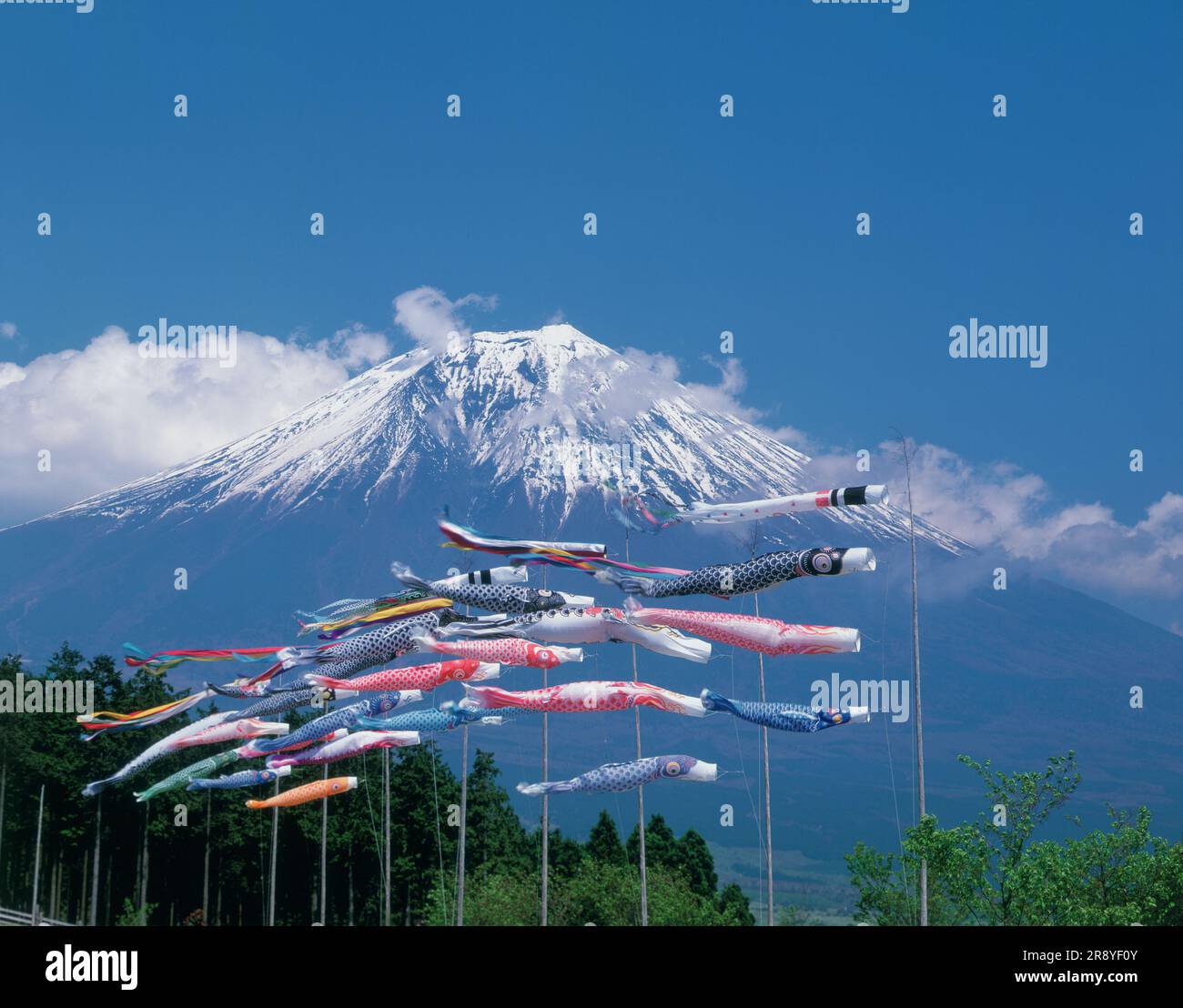 Carp banner and Mount Fuji Stock Photo - Alamy