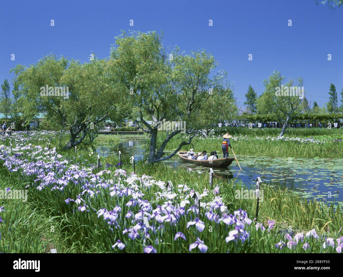 Suig? Sawara Aquatic Botanical Garden Stock Photo - Alamy