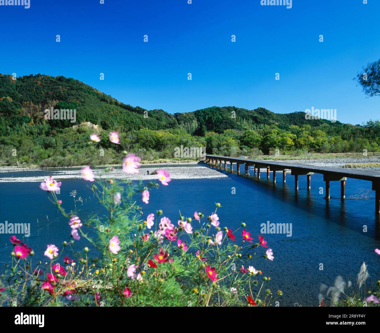 Shimanto river and Sadano Chinkabashi Stock Photo - Alamy