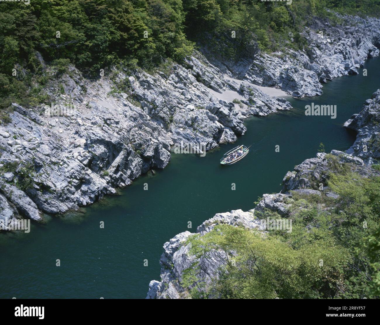 Fresh green Oboke Stock Photo - Alamy
