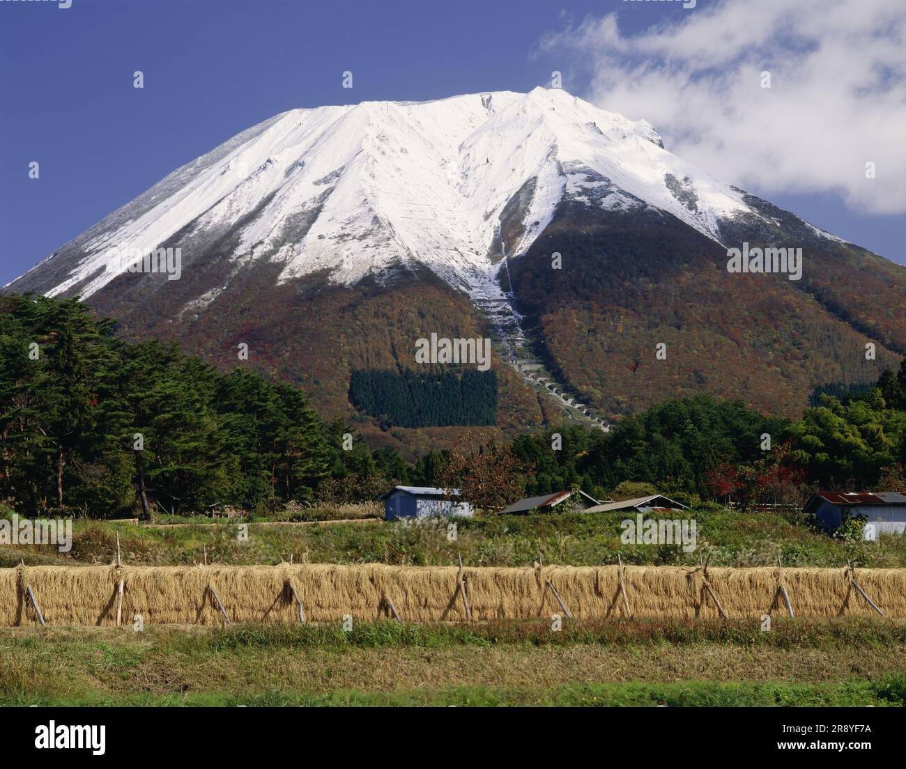 Daisen in Autumn Stock Photo - Alamy