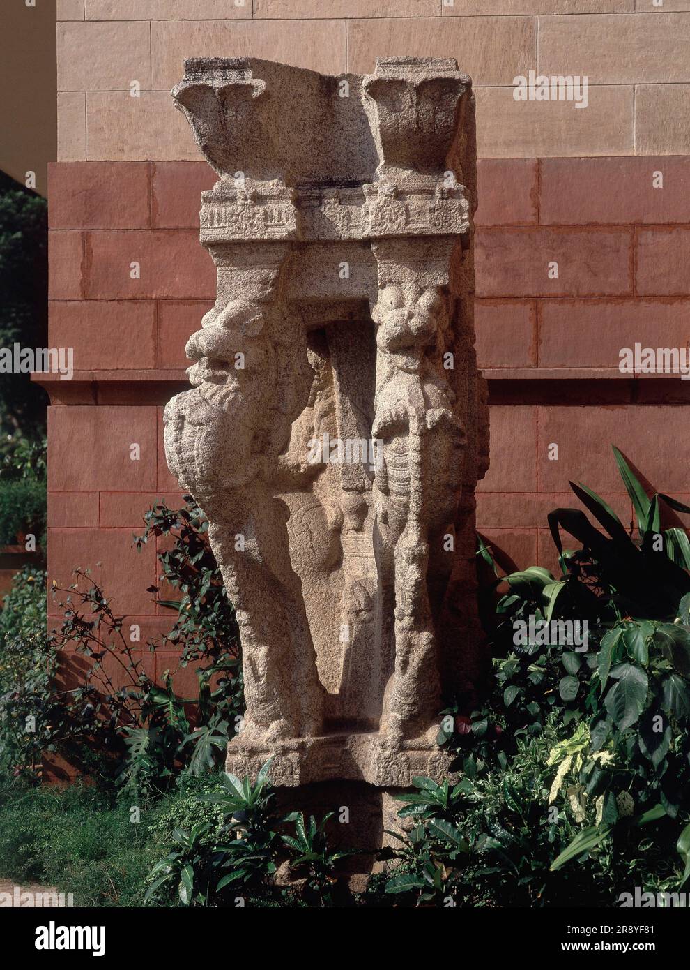 Animales de columna hi-res stock photography and images - Alamy