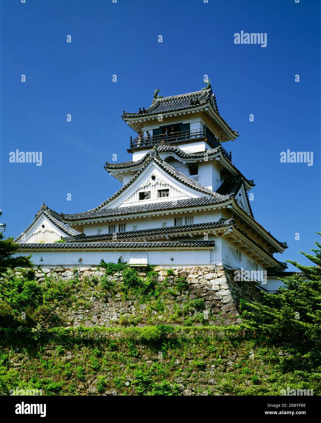 Kochi Castle in fresh green Stock Photo - Alamy