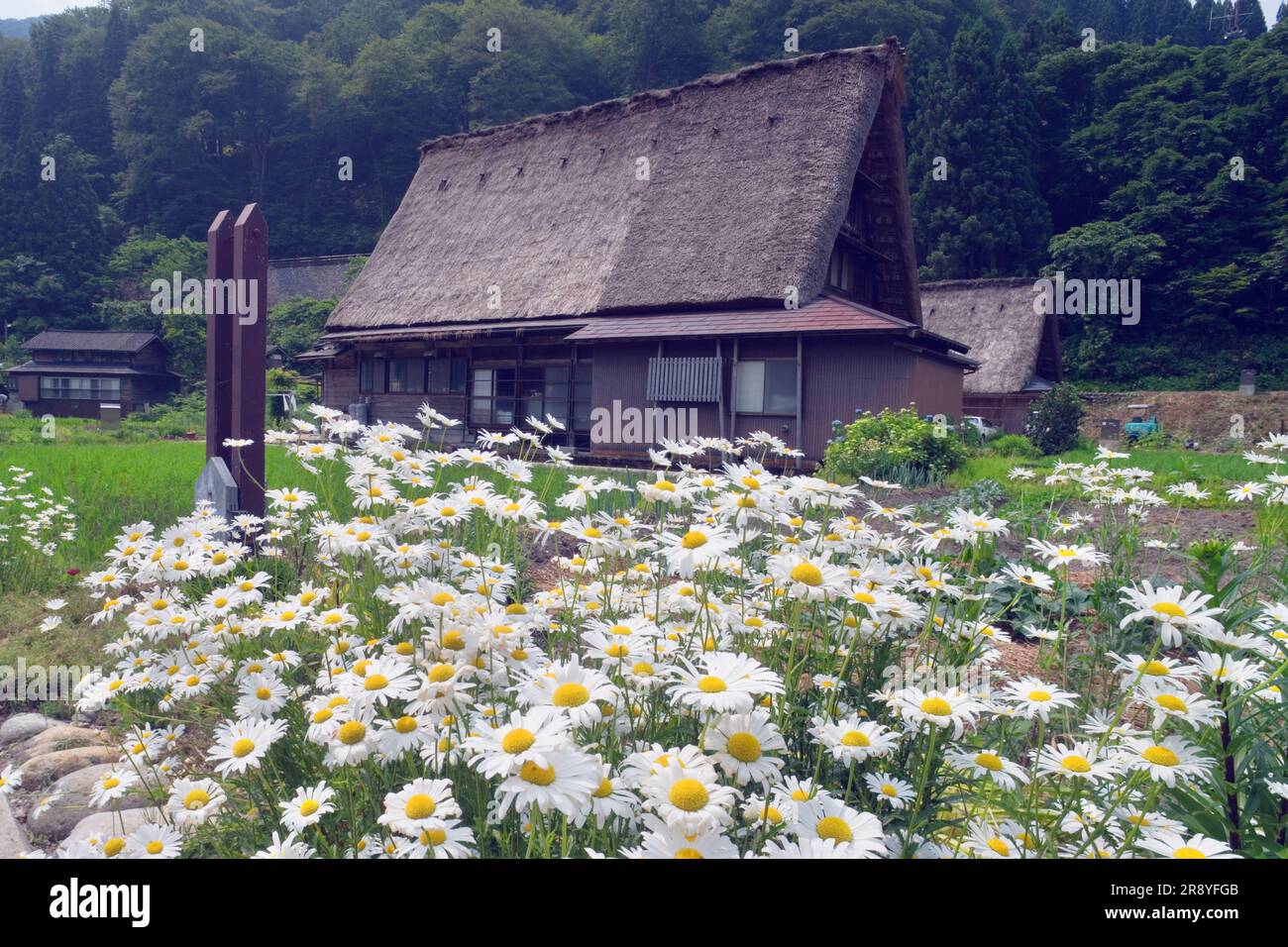 Suganuma Village, Gokuyama Stock Photo - Alamy