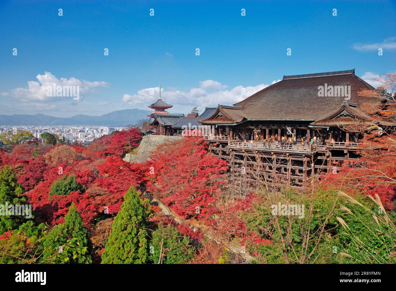 Kiyomizu Temple in Autumn Stock Photo - Alamy