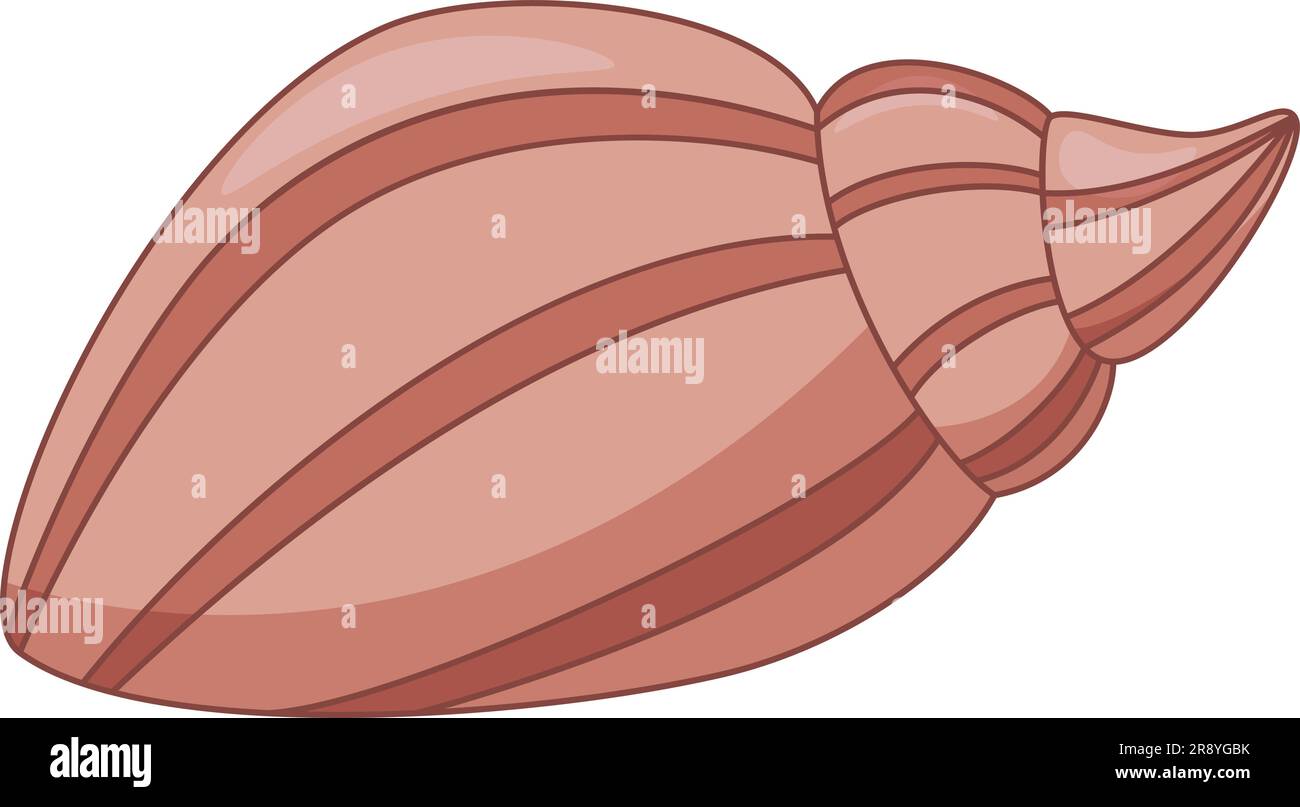 spiral cartoon wide shell with thin lines Stock Vector Image & Art - Alamy