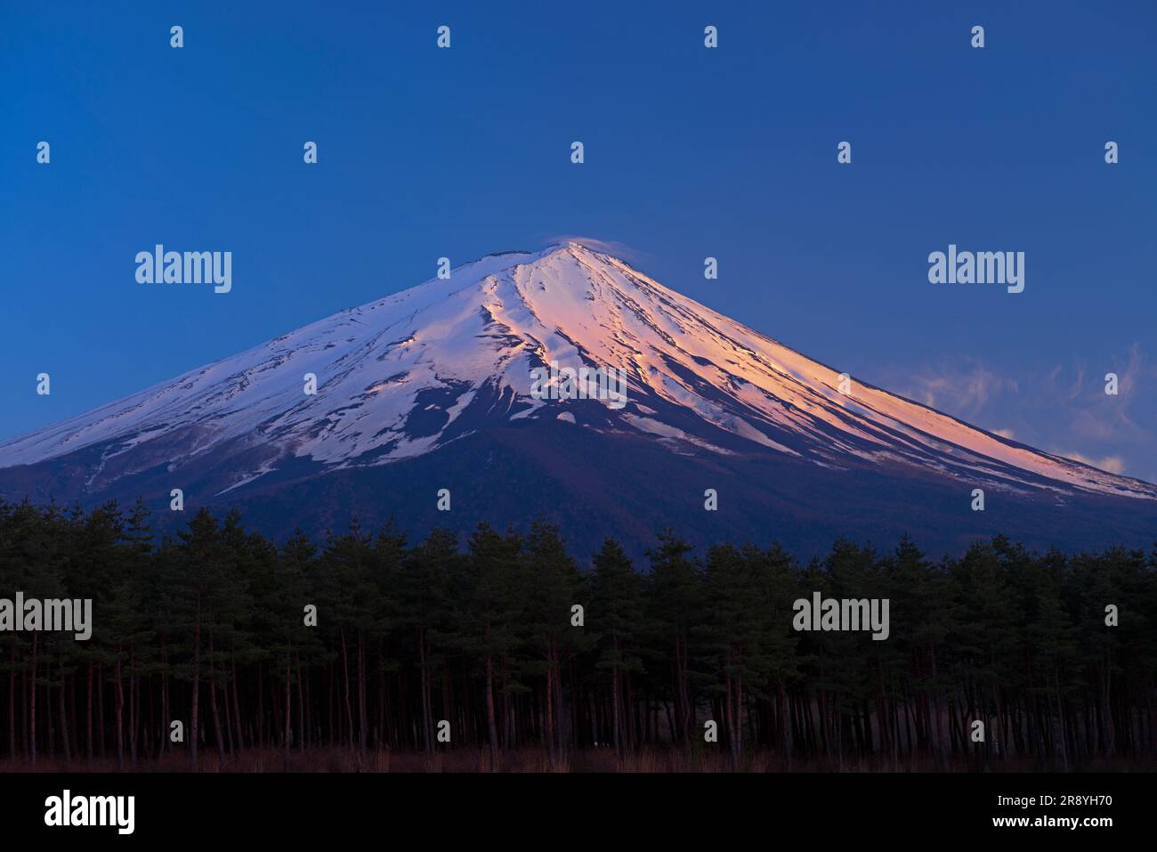 Glorious season hi-res stock photography and images - Alamy