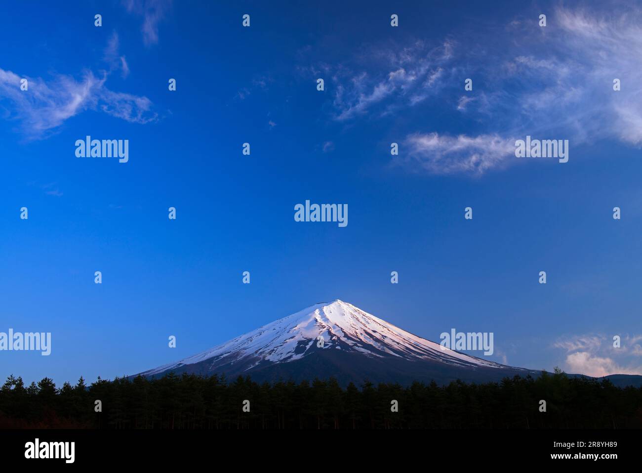 Glorious season hi-res stock photography and images - Alamy