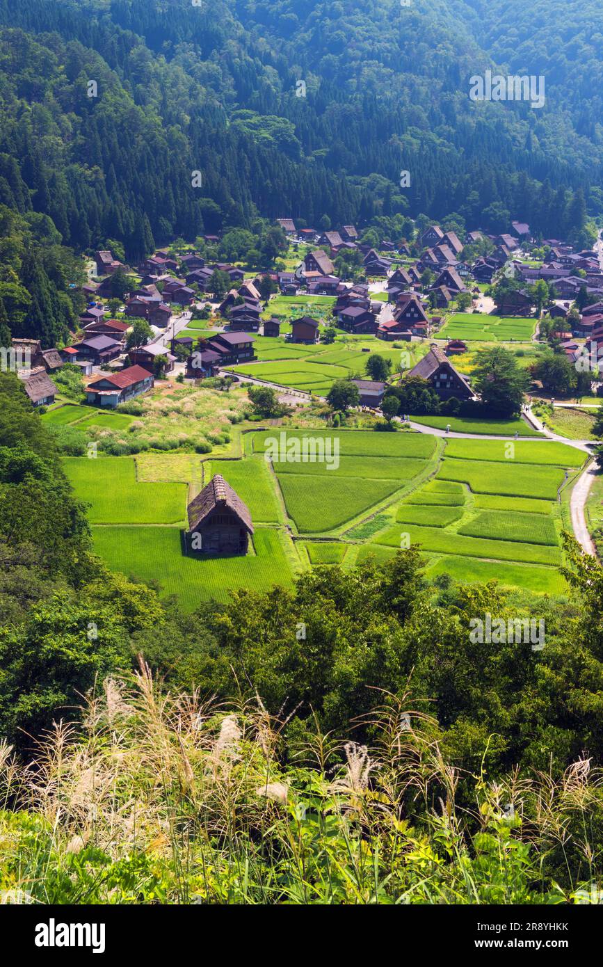 Village of the houses with steep rafter roof gassho village hi-res ...