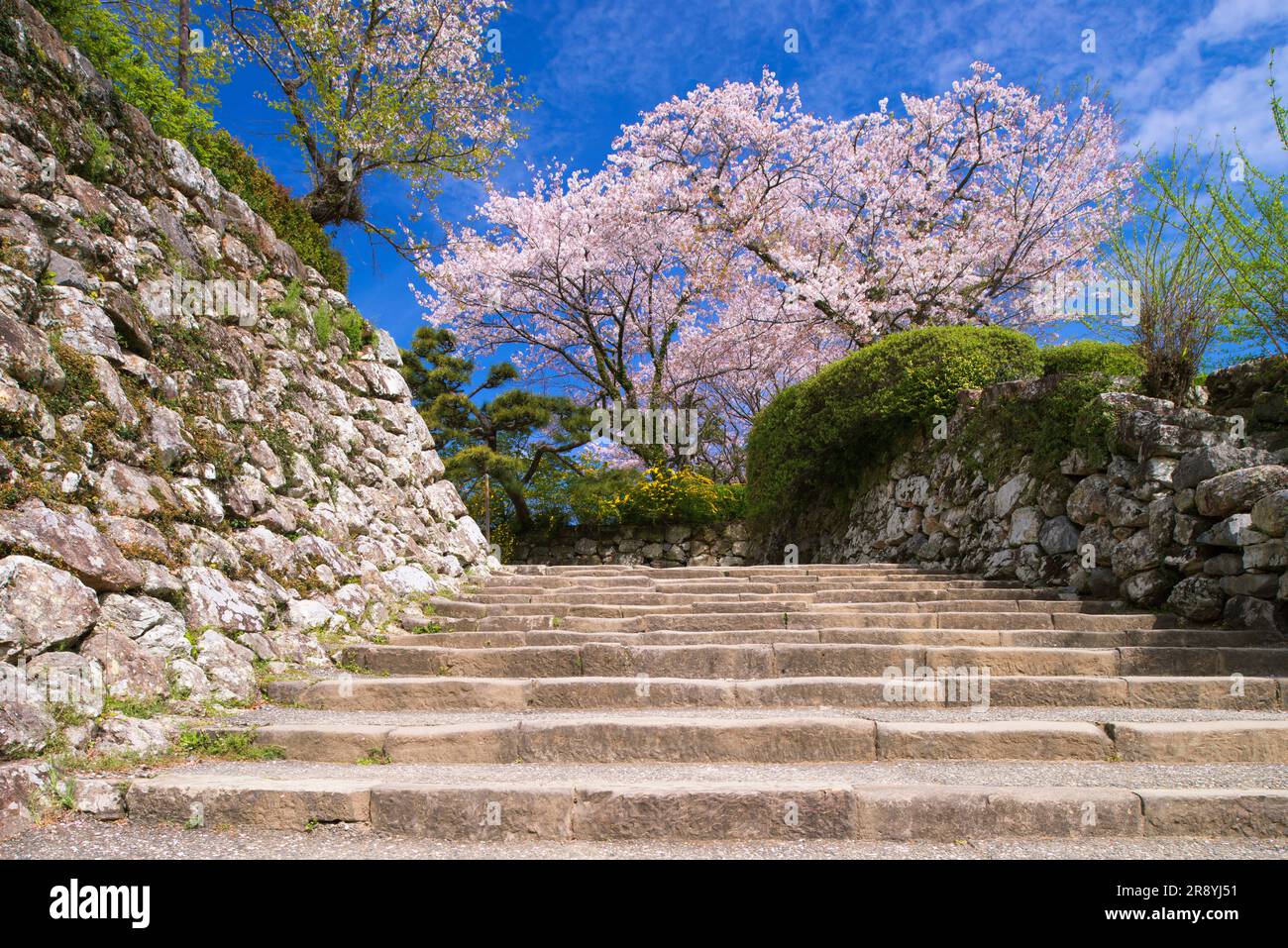 Kochi castle steps hi-res stock photography and images - Alamy