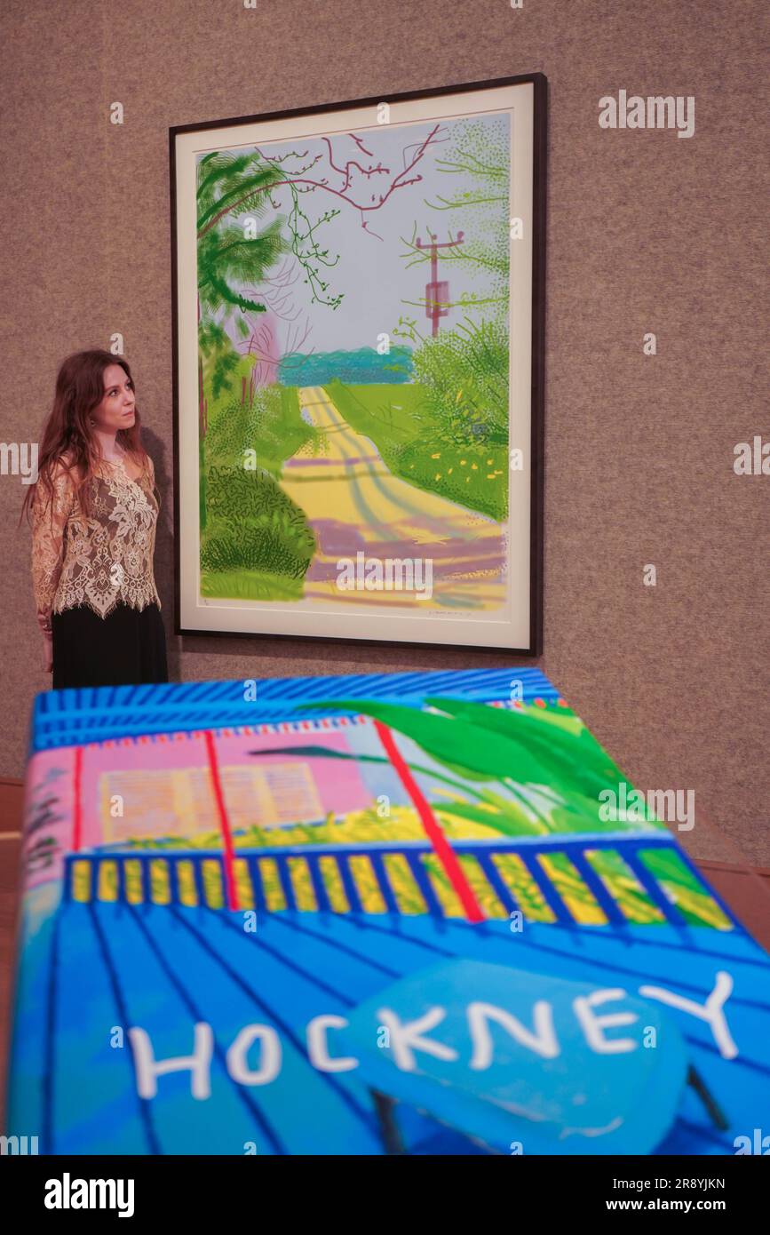 British born artist david hockney hi-res stock photography and images ...