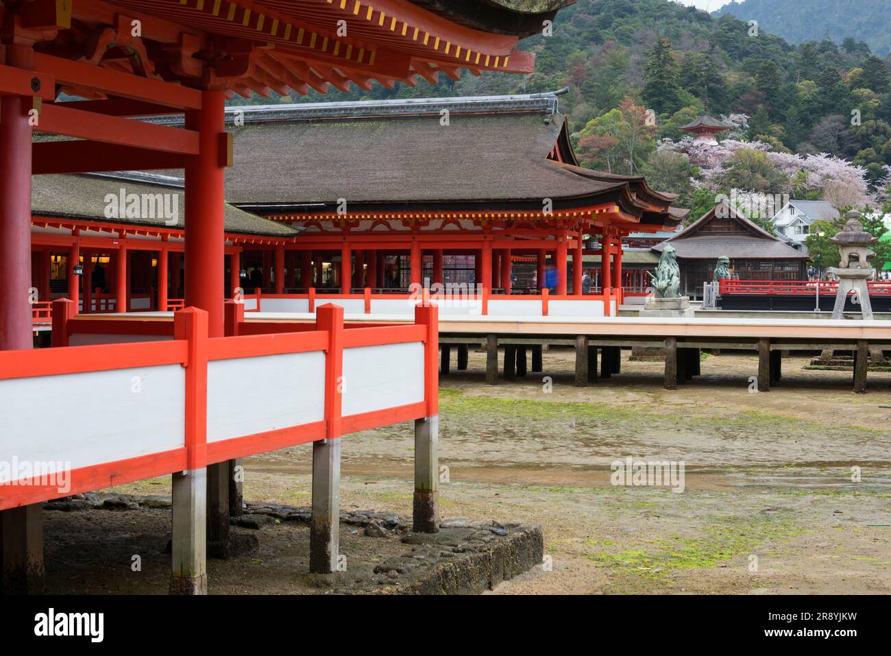 Itsukushima Shrine Main Hall Stock Photo - Alamy