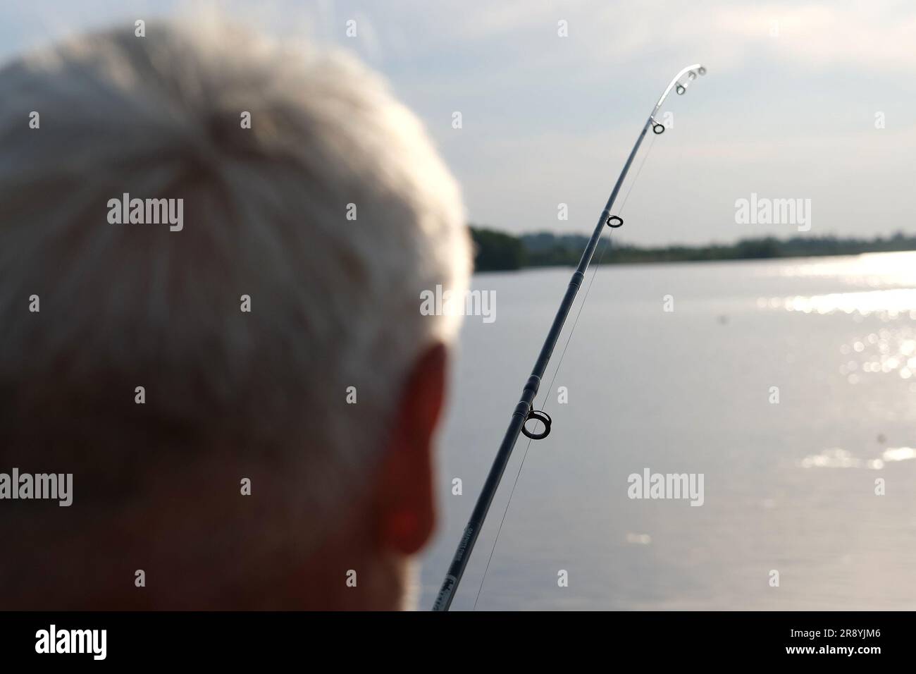 Old man fishing. Senior gray haired fisherman throws a spinning from ...
