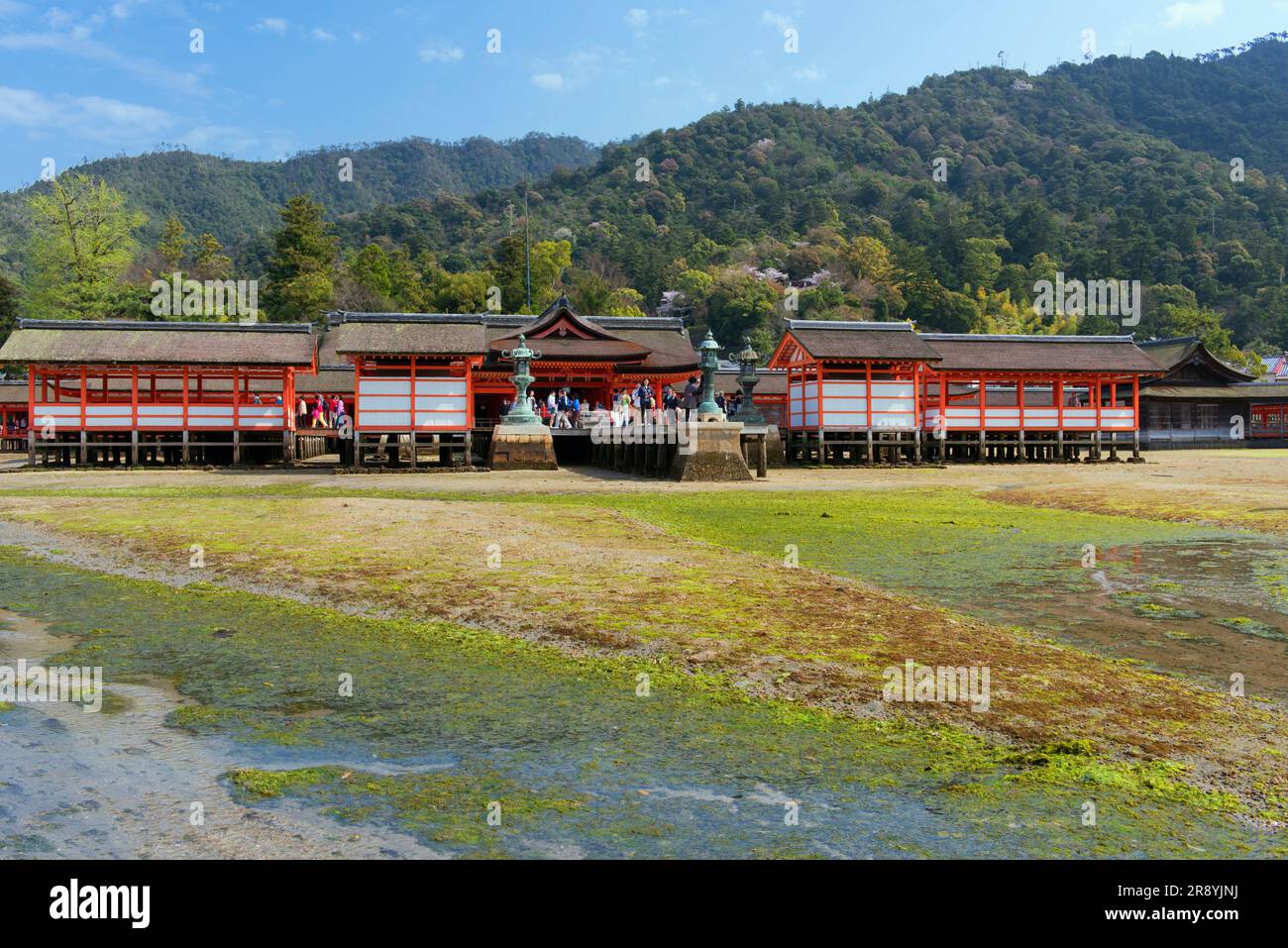 Itsukushima Shrine Main Hall Stock Photo - Alamy
