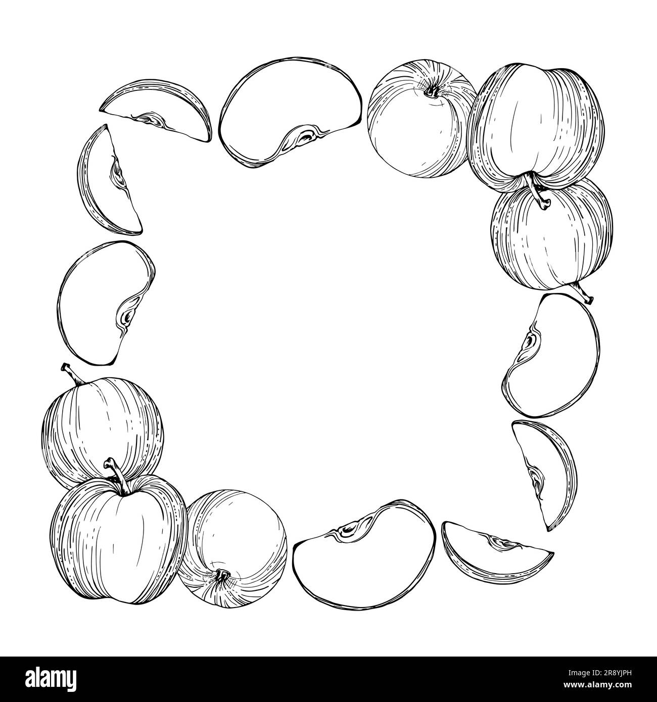 Hand drawn ink apple fruits, ripe full and slices, monochrome vector ...