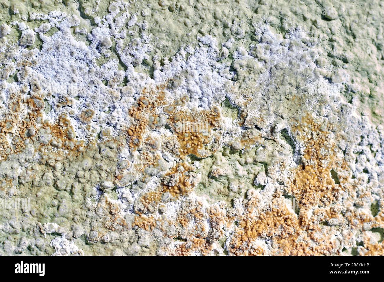 Dirty plastered wall with layers of paint, fungus and mold Stock Photo ...