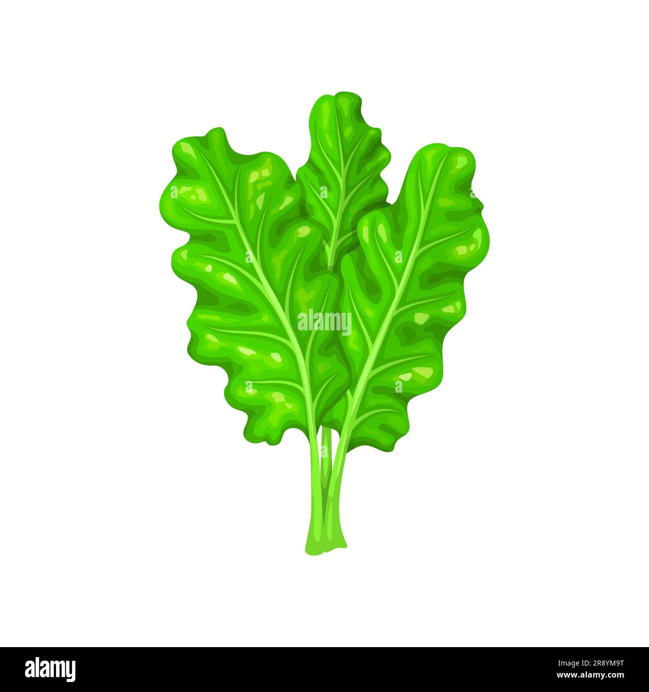 Chard cartoon hi-res stock photography and images - Alamy