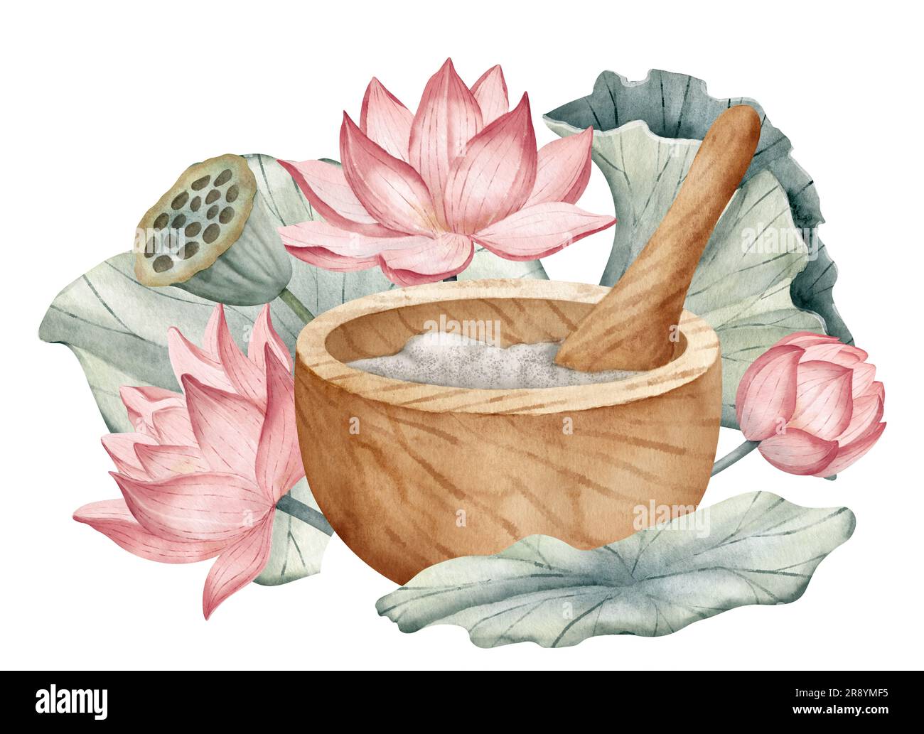 Wooden Mortar and Pestle with pink Lotus. Watercolor hand drawn ...