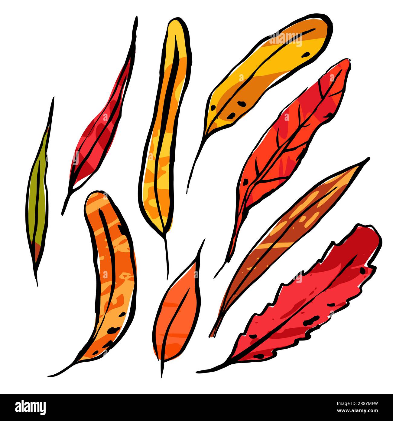 Autumn sketch color leaves. Hand-drawn line textured herb on white ...