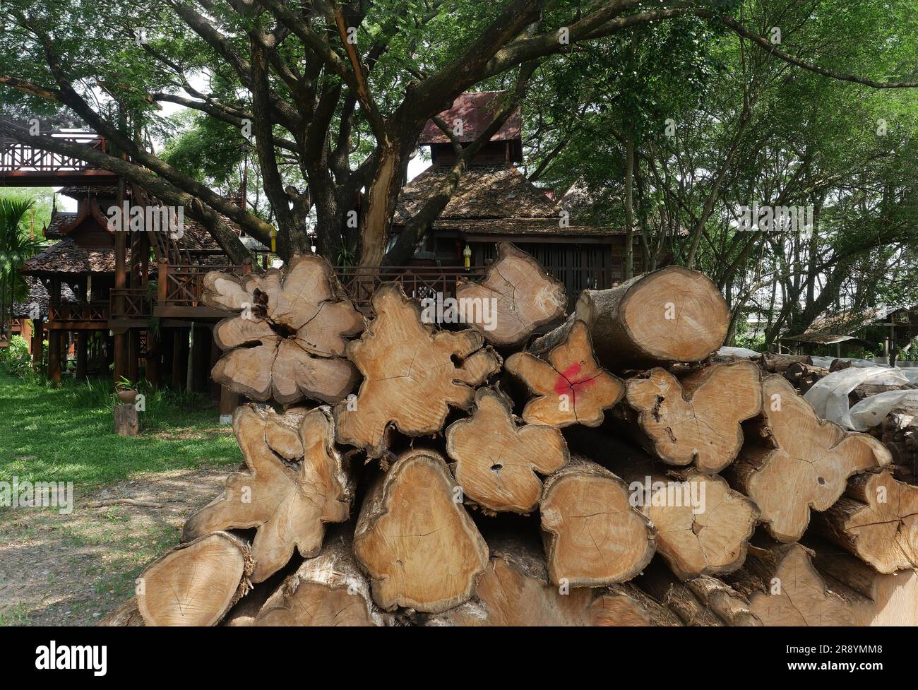 Natural Teak Wood Log