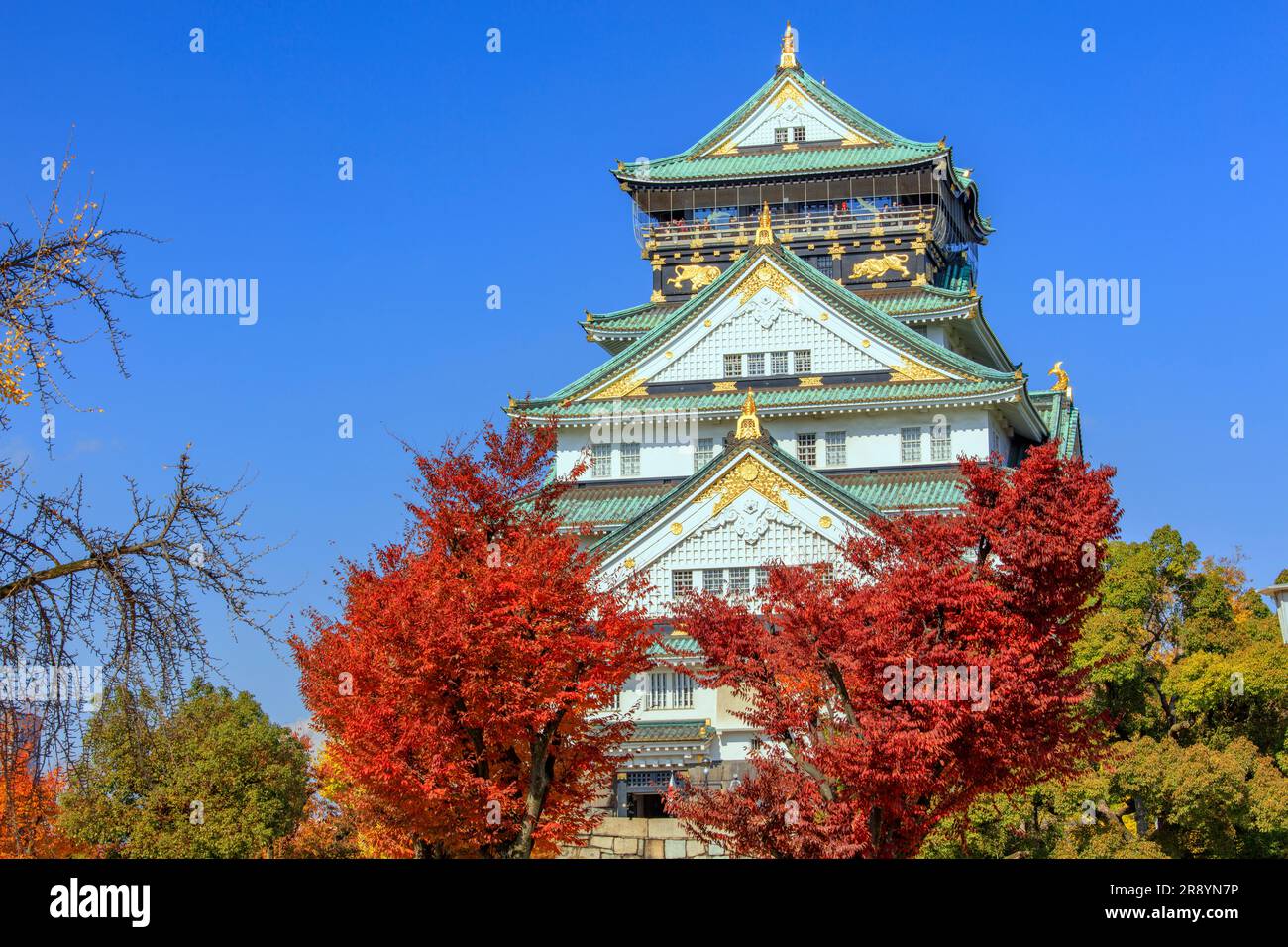 Autumn Color and Osaka Castle Tower Stock Photo - Alamy