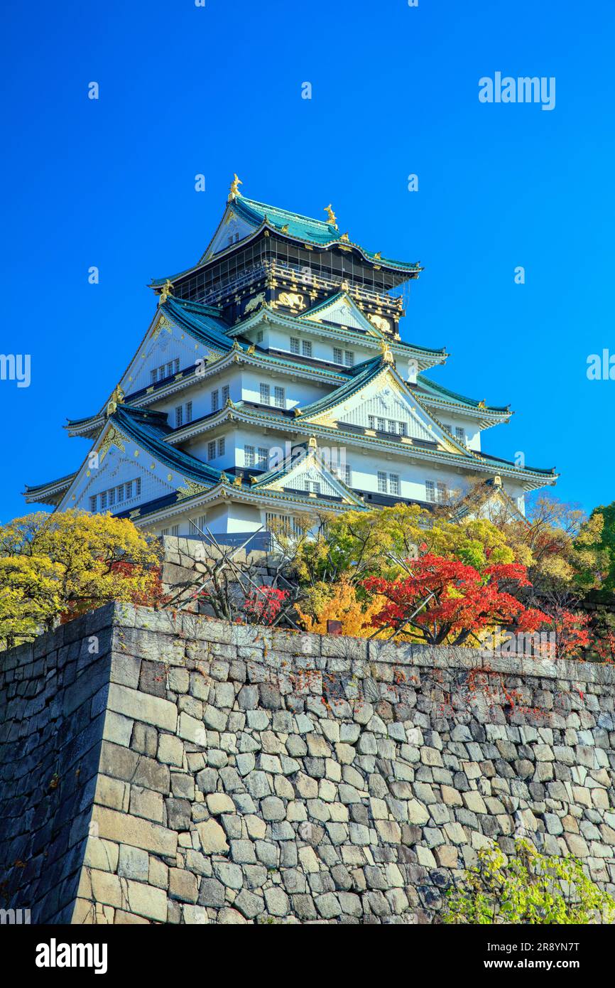 Autumn Color and Osaka Castle Tower Stock Photo - Alamy